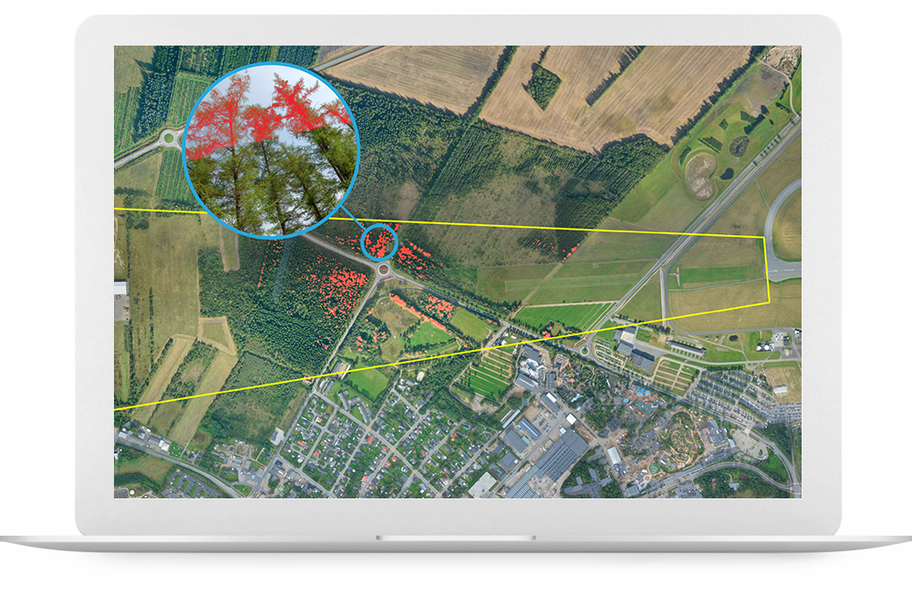 Obstacle Documentation – AscendXYZ